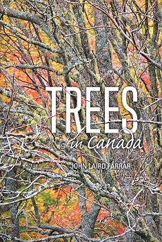 6 Books for International Day of Forests - Bracebridge Library